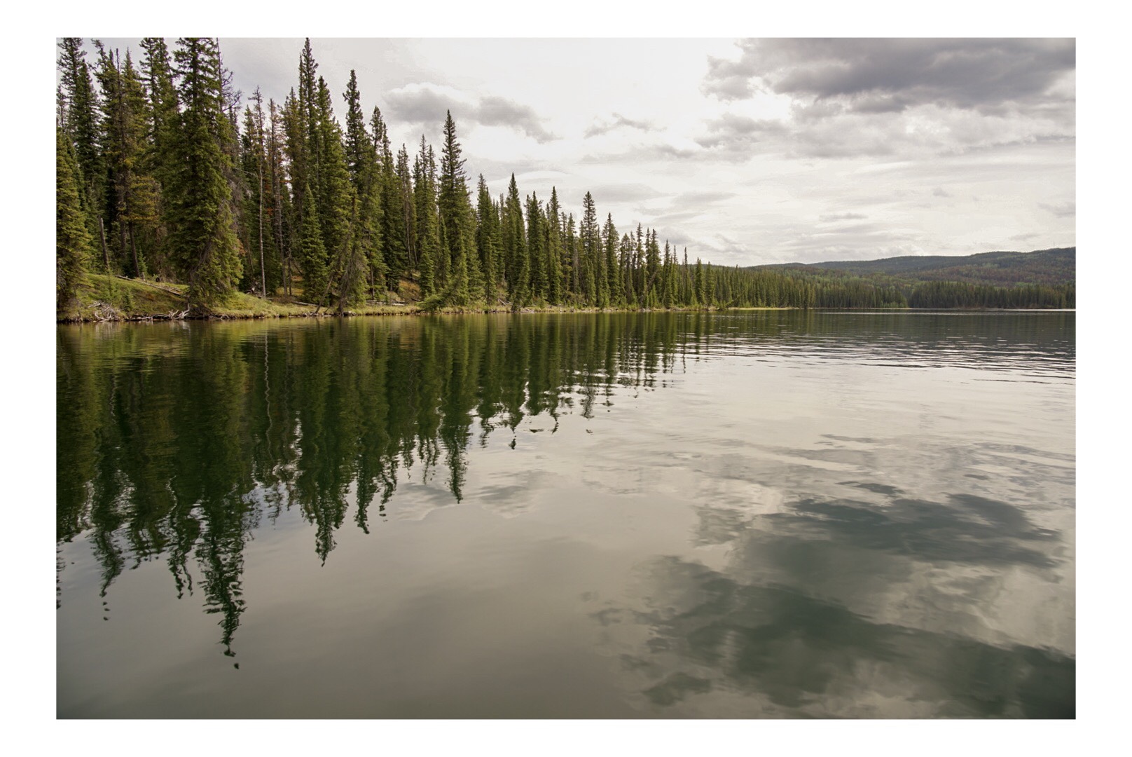 Elk Island National Park – Niton Junction – William A. Switzer ...